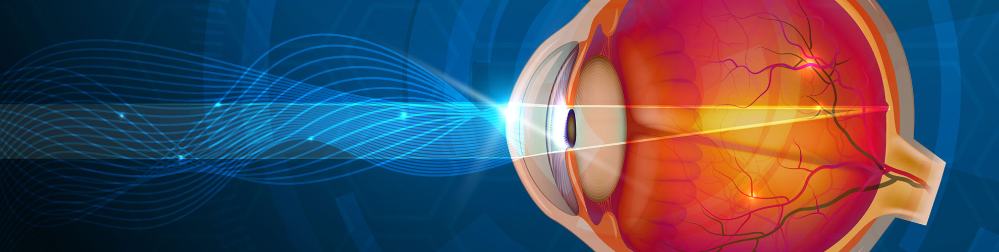 Interactive Eye - The Vision Center of West Phoenix